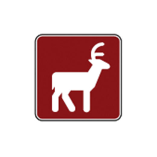 Deer Viewing Sign RS-011 - Traffic Safety Supply Company
